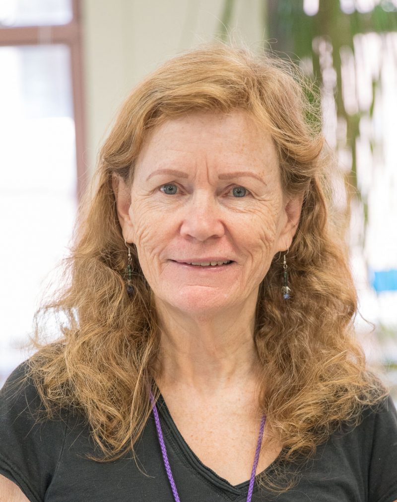 Colleen Megowan-Romanowicz, Ph.D. – American Modeling Teachers Association